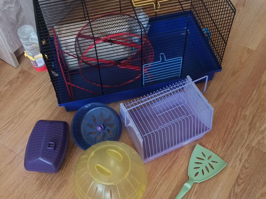 Клетка большая и клетка маленькая