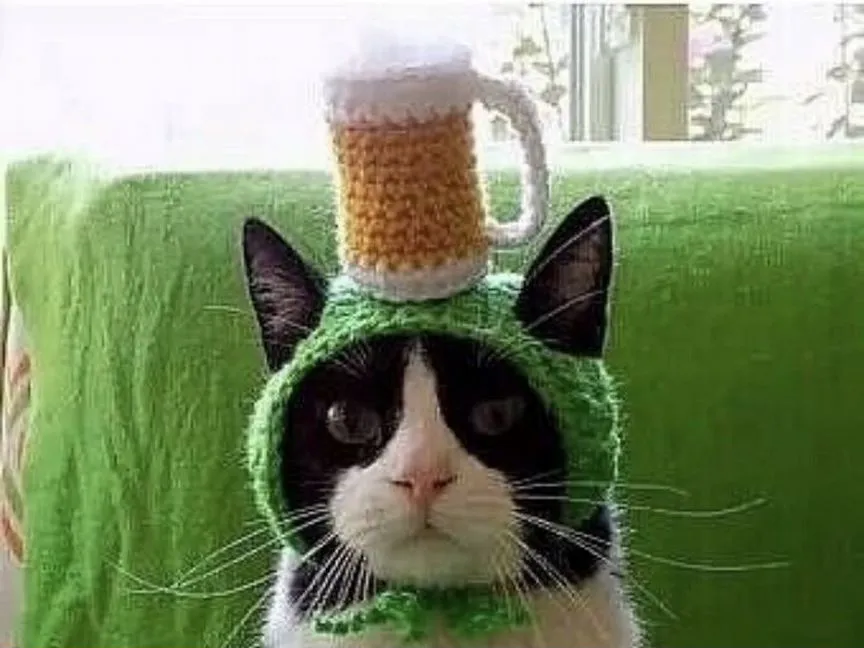 Вязанная шапка для кота