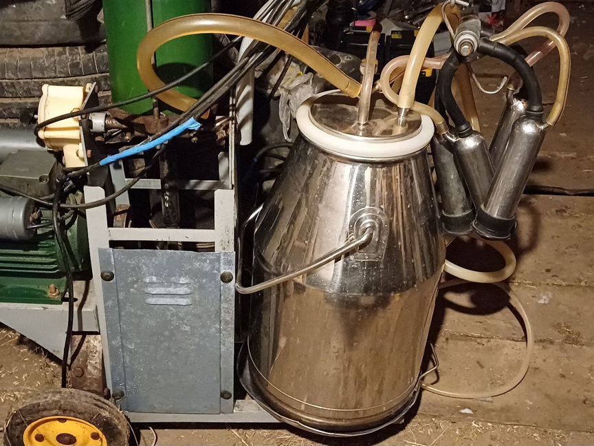 Доильный аппарат для коров бу