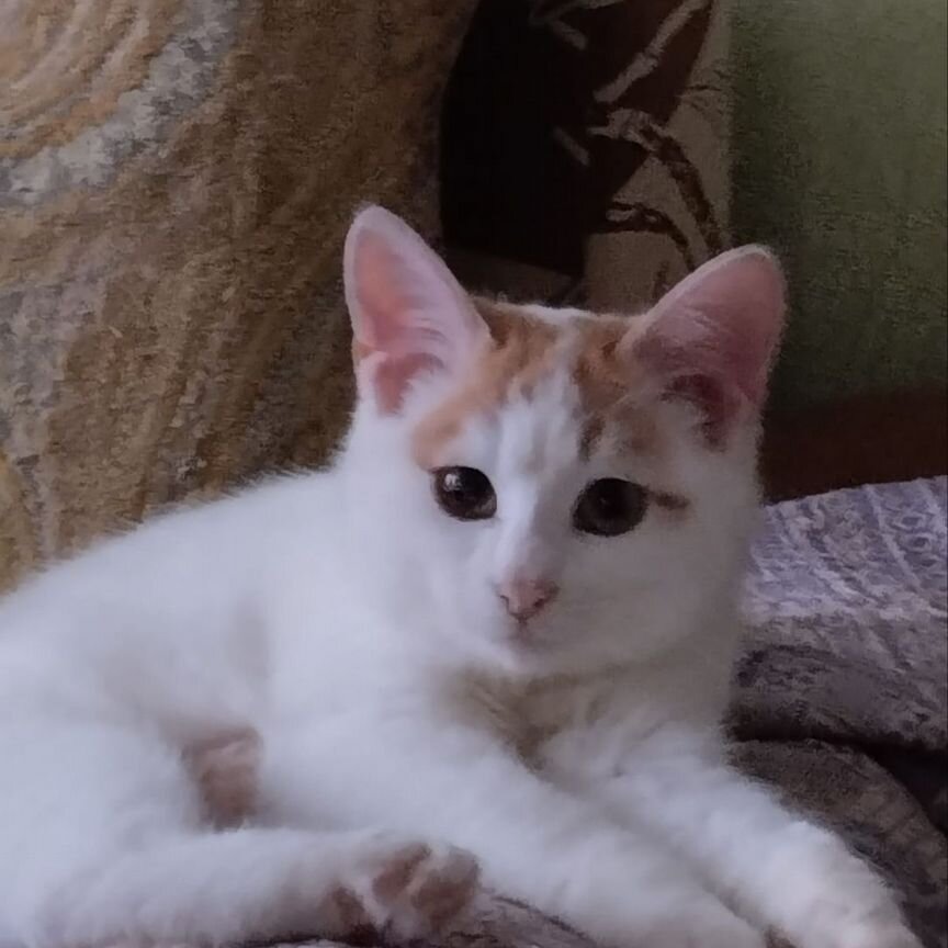 Мальчик 4,5 мес