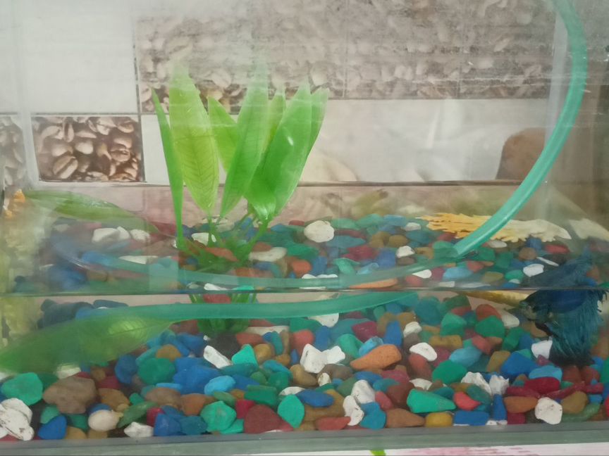 Украшение для аквариума