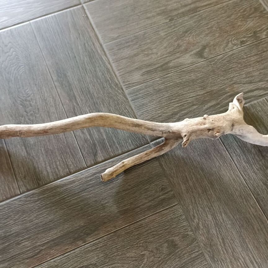 Коряги для аквариума