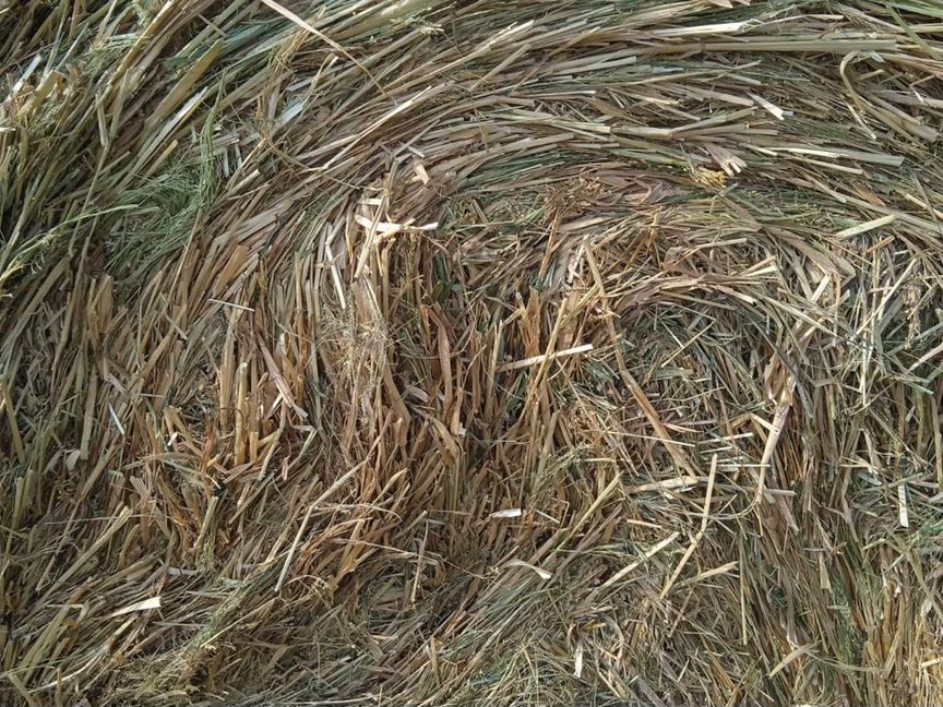 Просяная солома