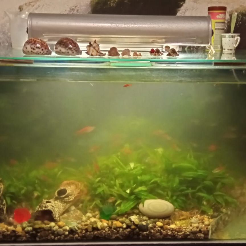 Аквариум с подставкой