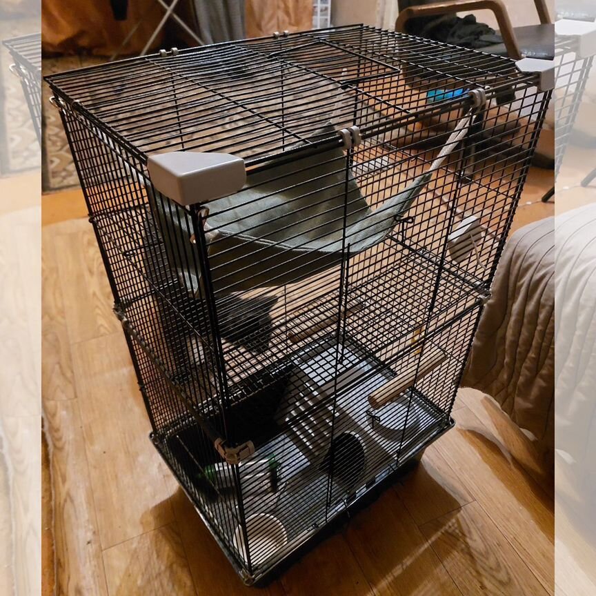 Клетка для грызунов