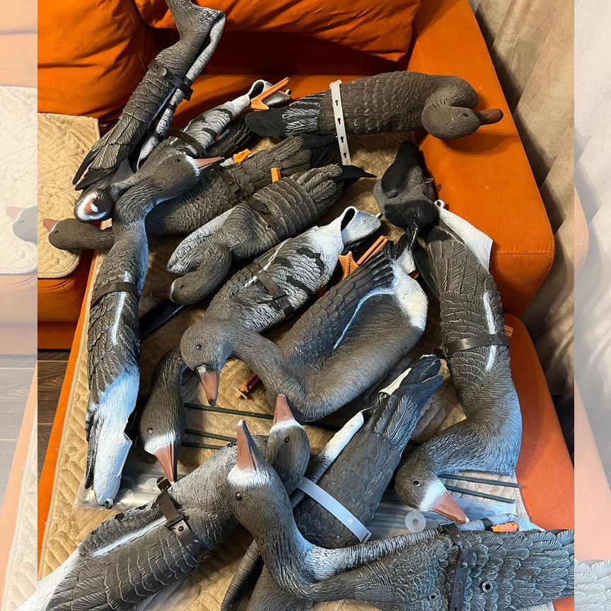 Гуси для охоты