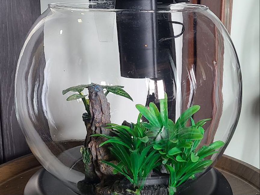Аквариум Tetra Cascade Globe круглый