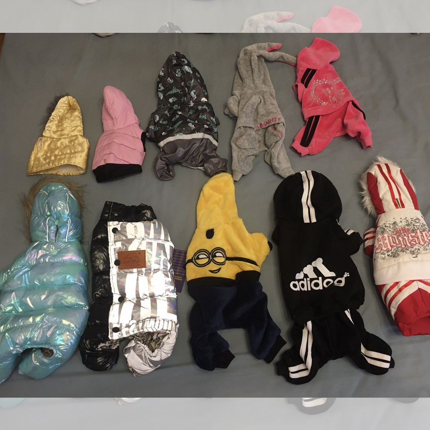 Одежда для собак мелких пород до 25 см по спинке