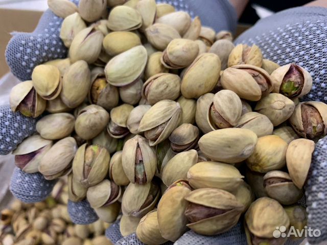 Фисташки иранские натуральные и механика оптом купить в Мосрентген ...