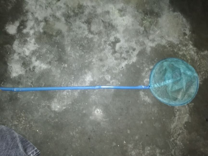 Сачек для аквариума