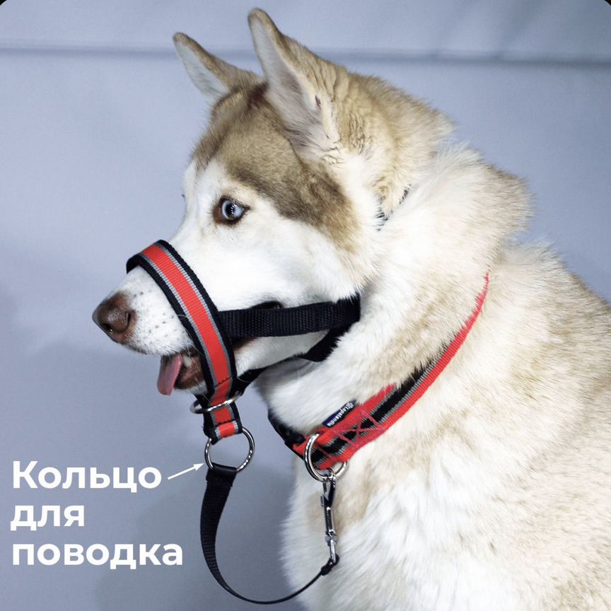 Недоуздок для собак (корректор поведения, халти)