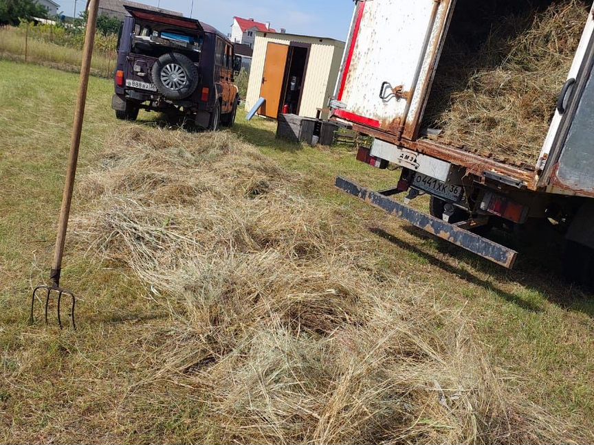 Сено разнотравье