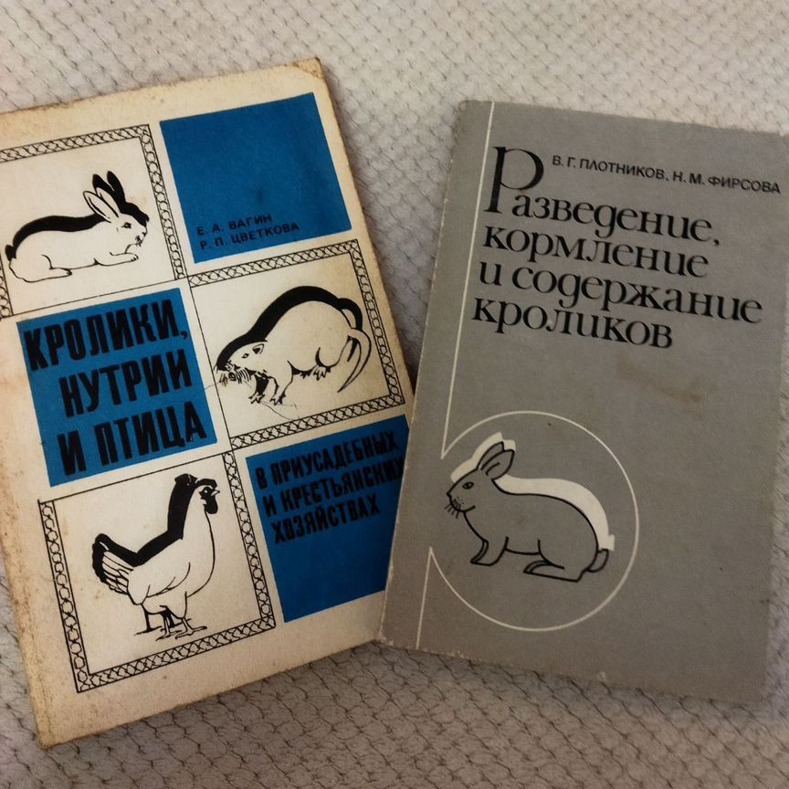 Разведение кроликов