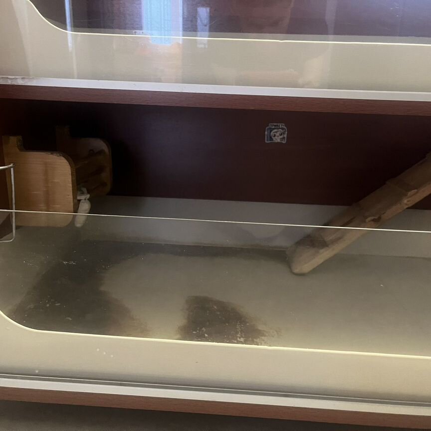 Клетка доя морских винок