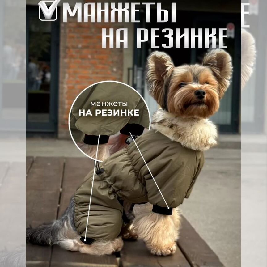 Одежда для собак средних пород