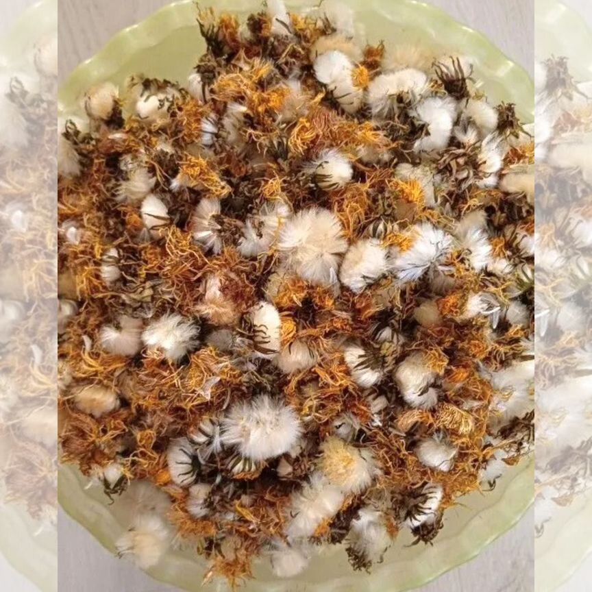 Цветы одуванчика сушеные