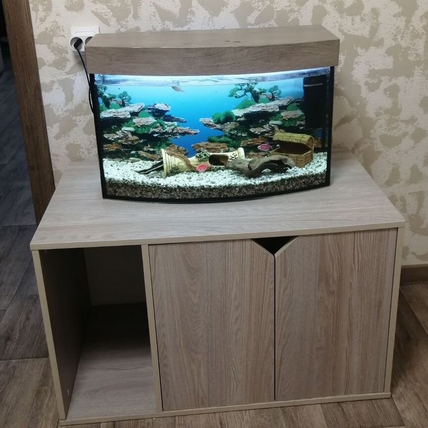 Аквариум