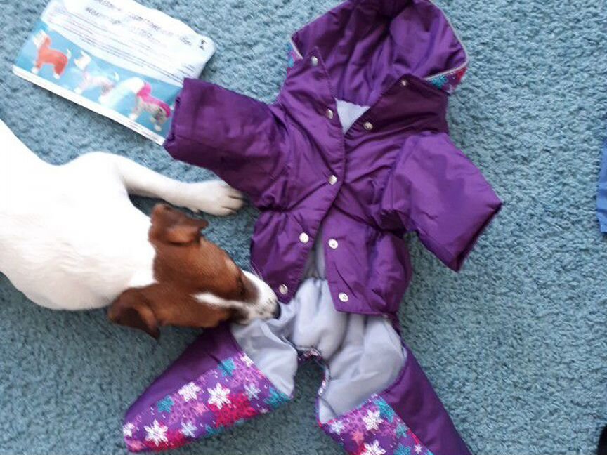 Комбинезон для собаки р.32 девочка