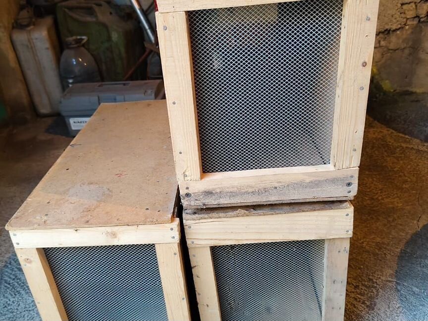 Перевозка для пчел