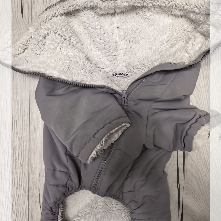 Одежда для собак Джек-Рассел