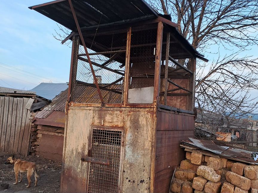 Продам голубятню