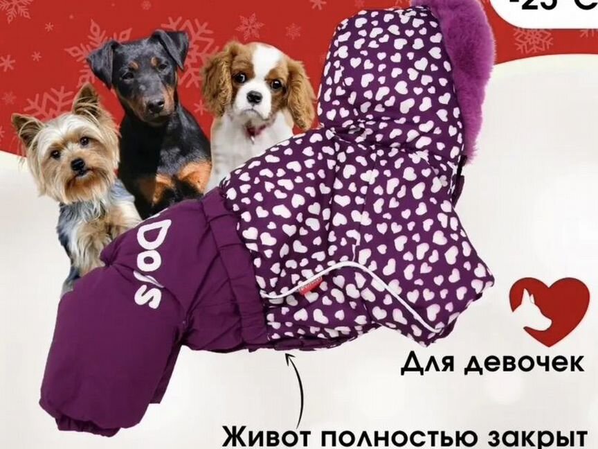 Новый зимний комбинезон для собаки ForMyDogs р.14
