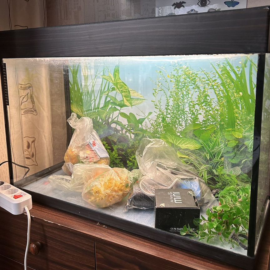 Аквариум 100л