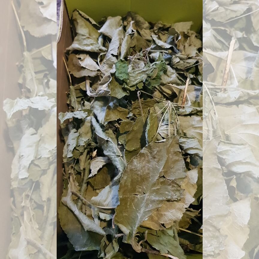 Отборный экологический сушеный лист