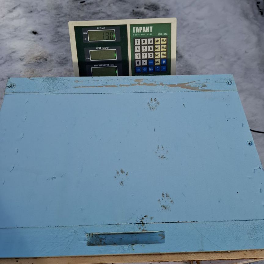 Улики для пчел