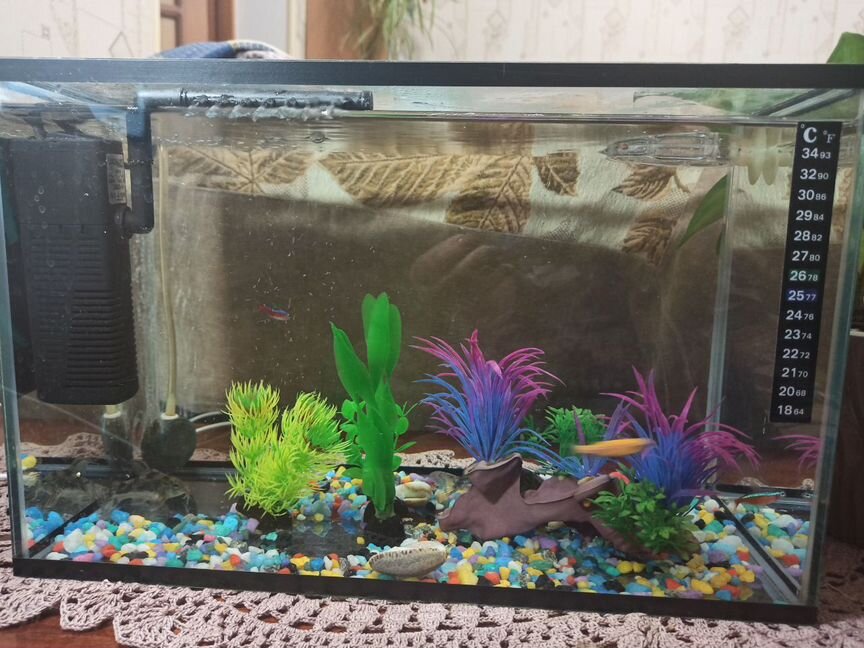 Аквариум с рыбками бу