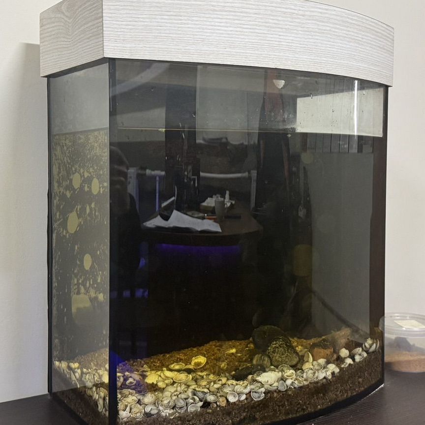 Аквариум примерно на 50 литров