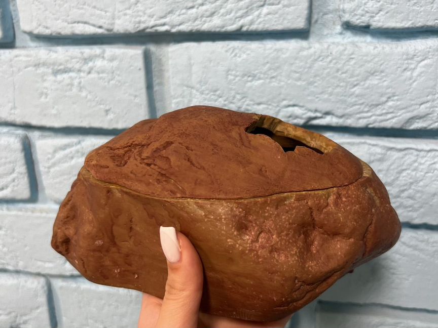 Влажная камера для рептилий