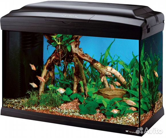 Аквариум Ferplast Cayman 50 Professional, 40 л