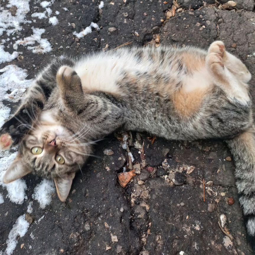 Мальчик Зайчик подросток