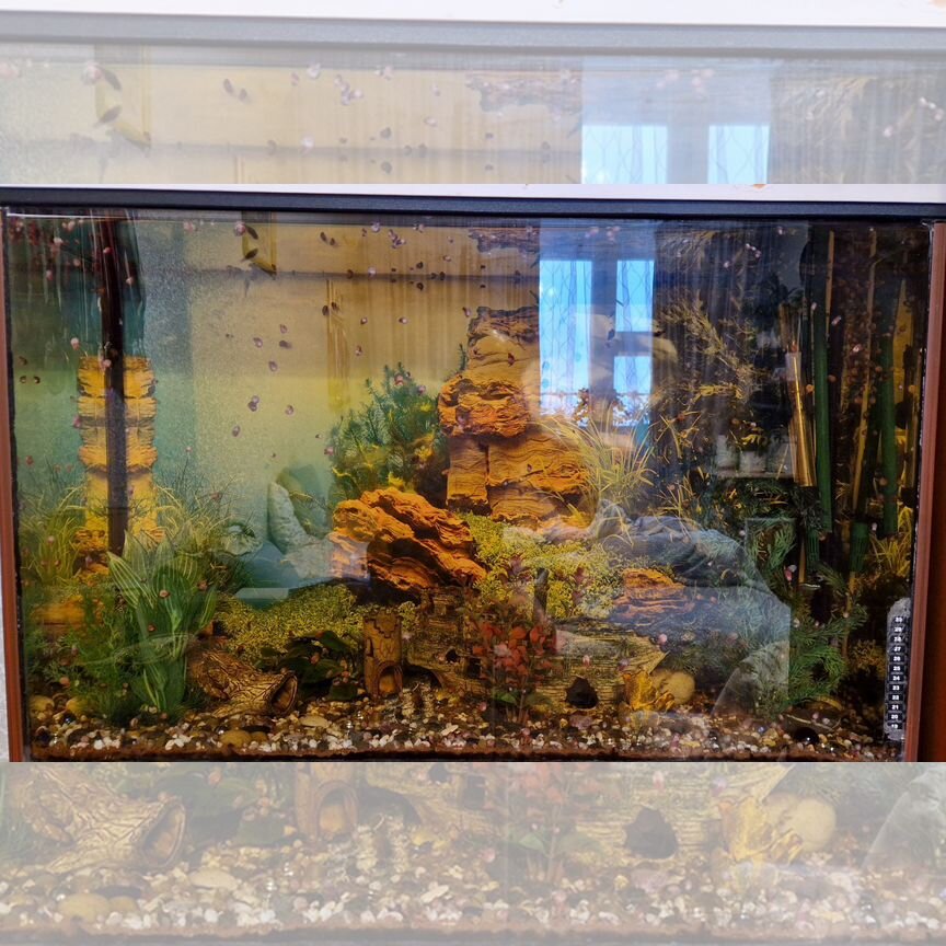 Аквариум с подставкой
