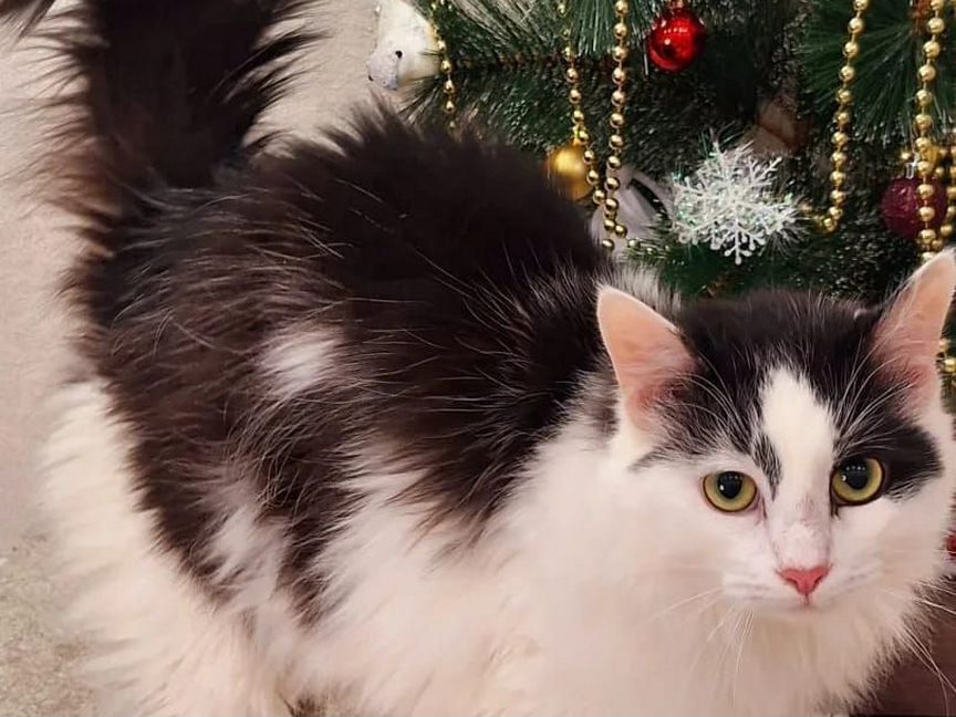 Хочу стать нужным и любимым