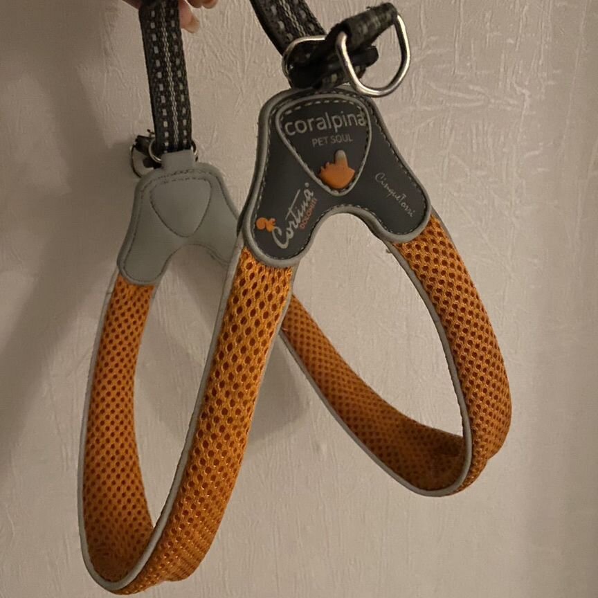 Шлейка для собаки средних пород Coralpina