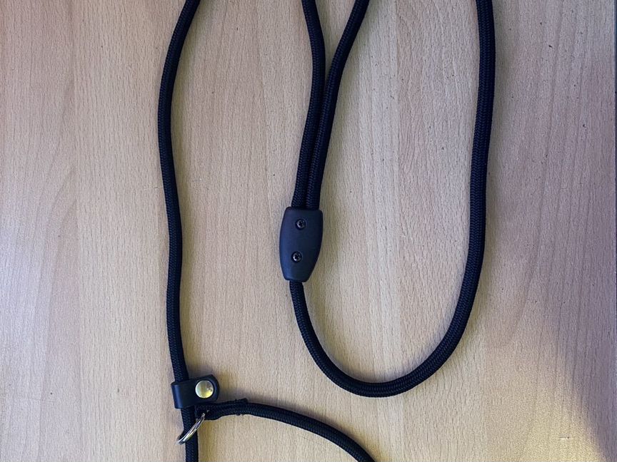 Ринговка для собак