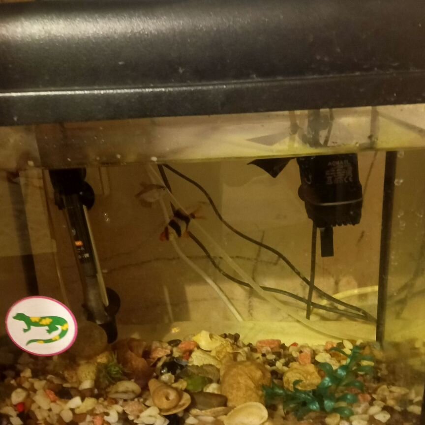 Продам аквариум 20л