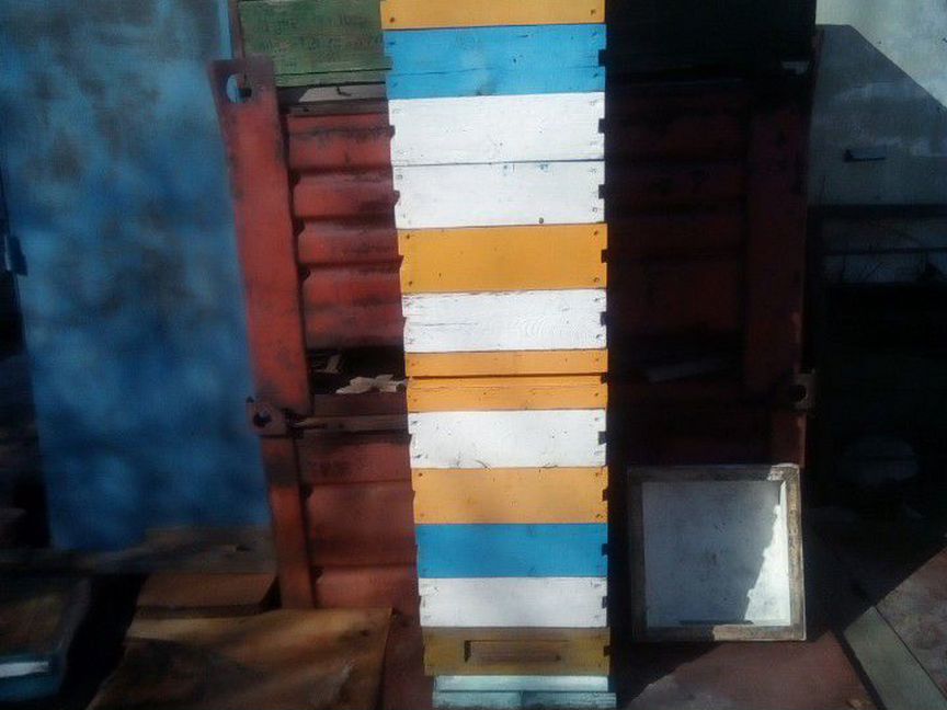 Альпийские улья