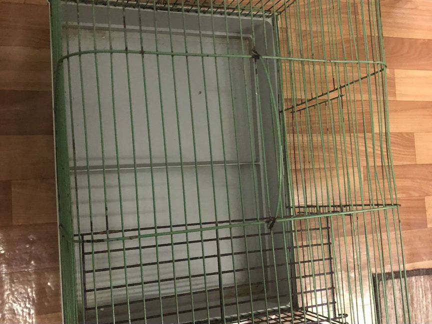 Все для грызунов