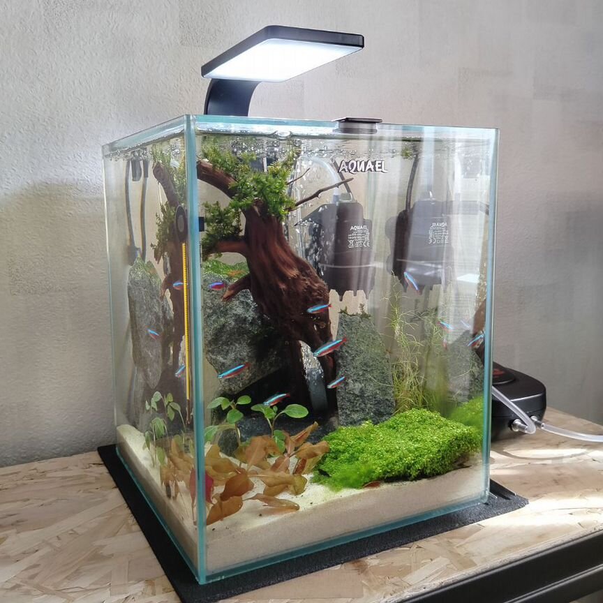 Аквариум aquael shrimp SET(19 л) черный