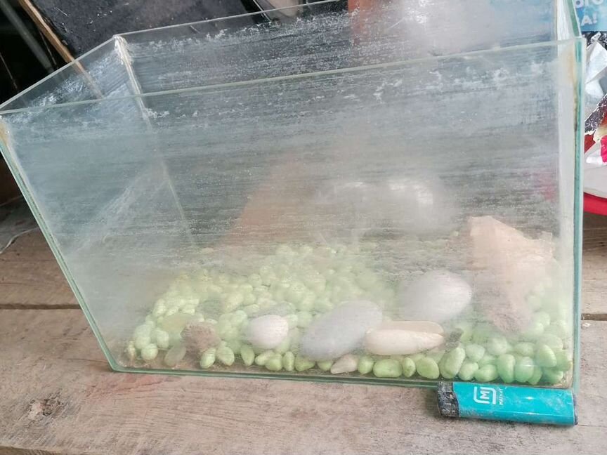 Аквариум небольшой