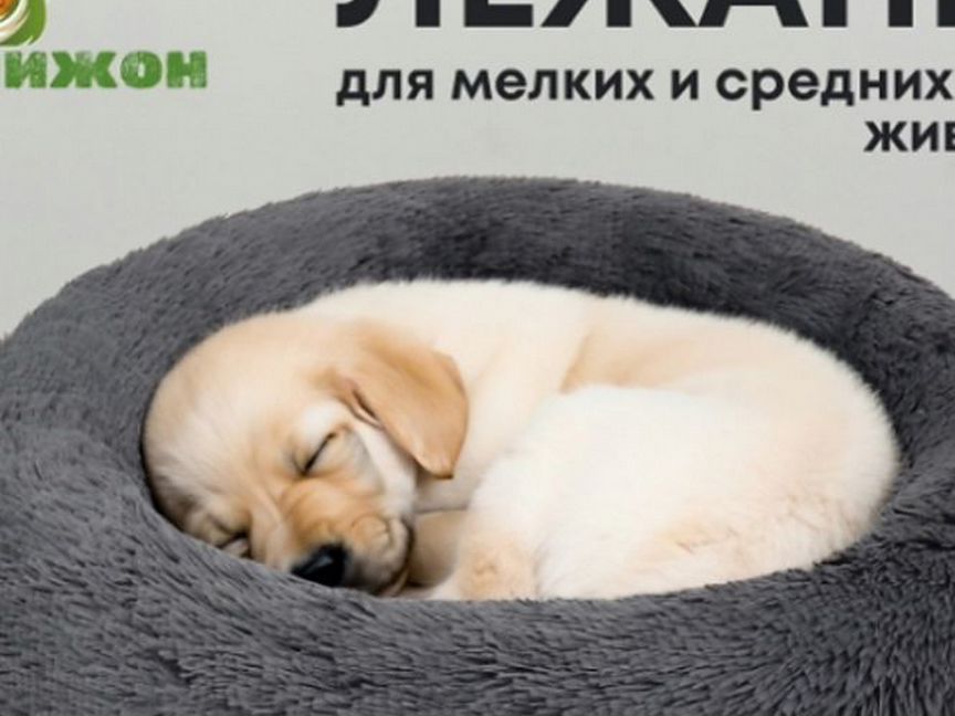 Лежанка для маленьких собак