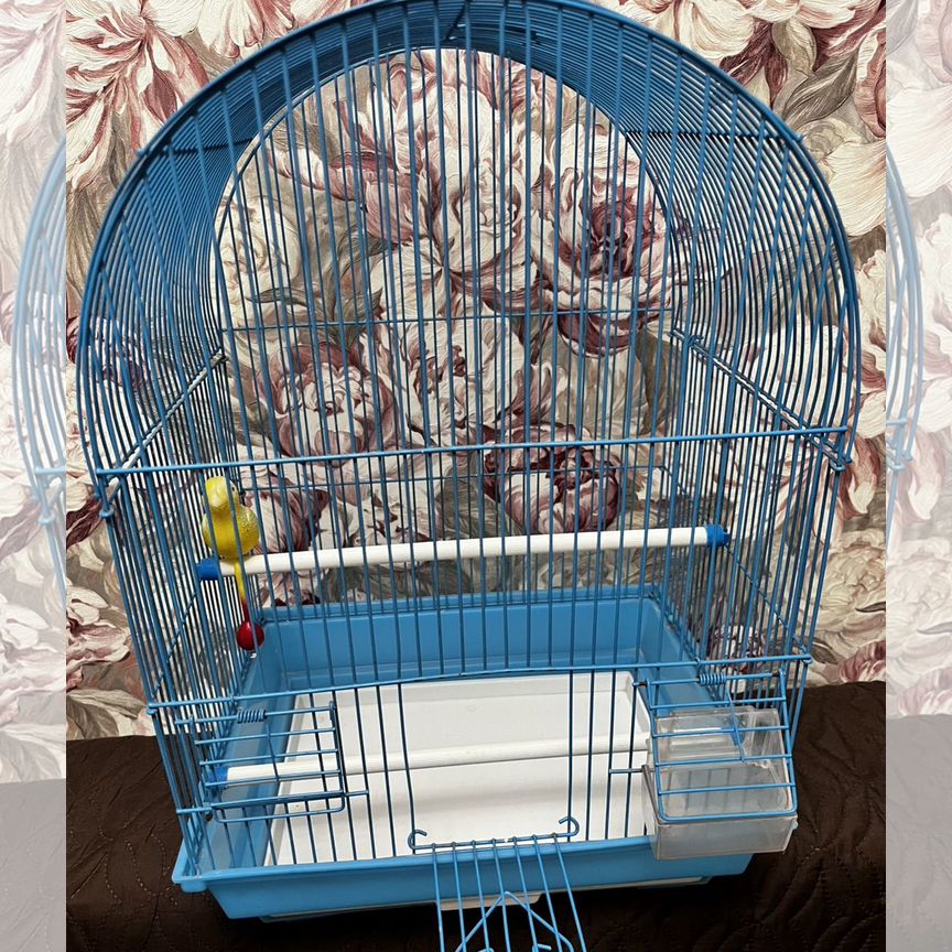 Клетка для попугая бу