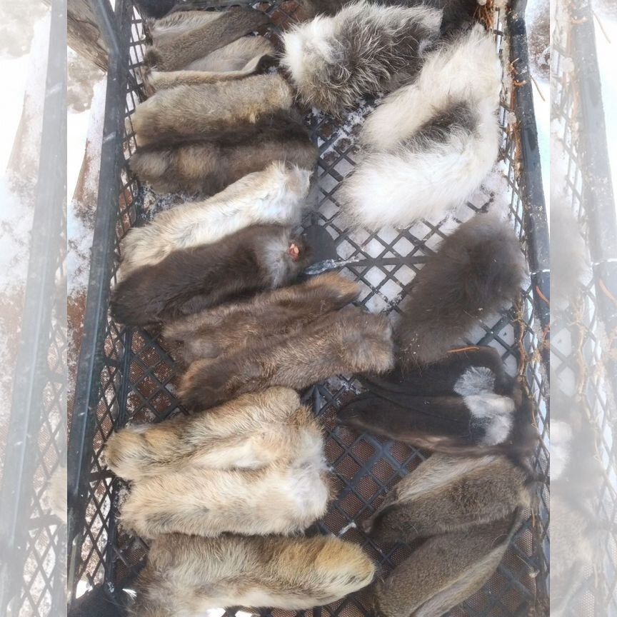 Кроличьи лапы, хвосты