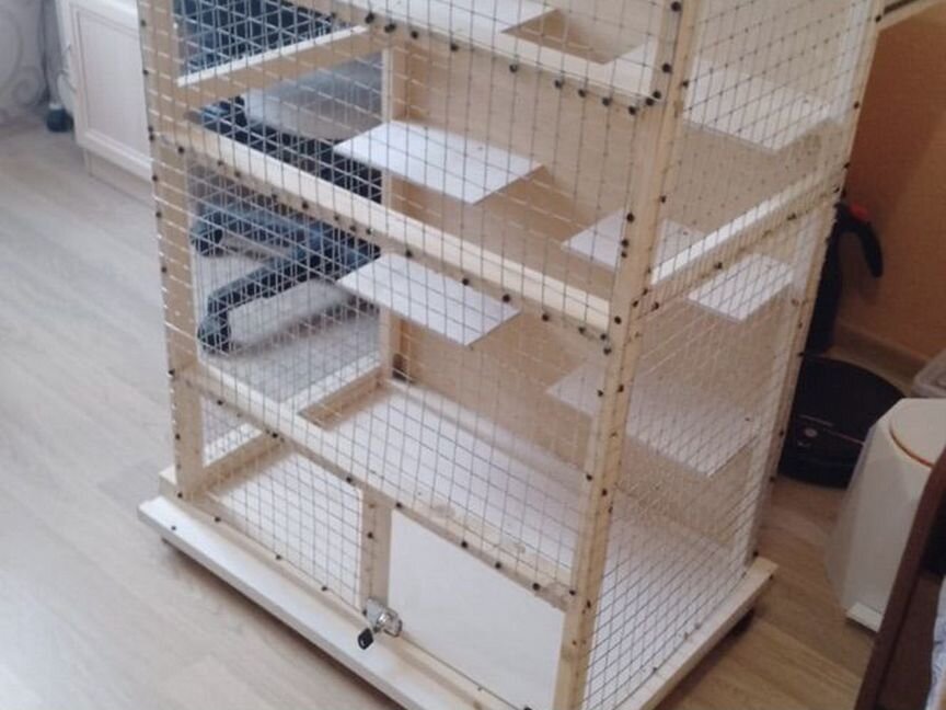 Витрина для шиншилл