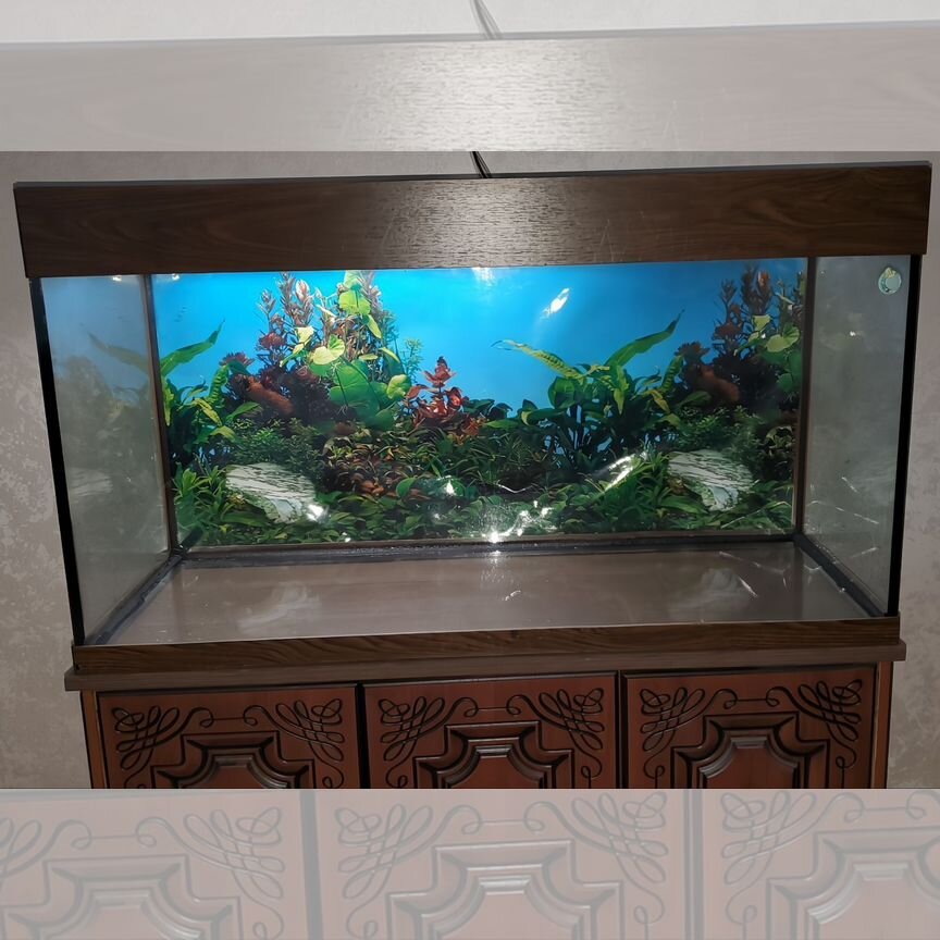 Аквариум на 200 литров