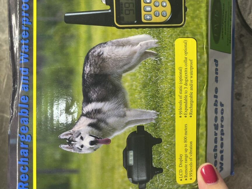 Ошейник электрический