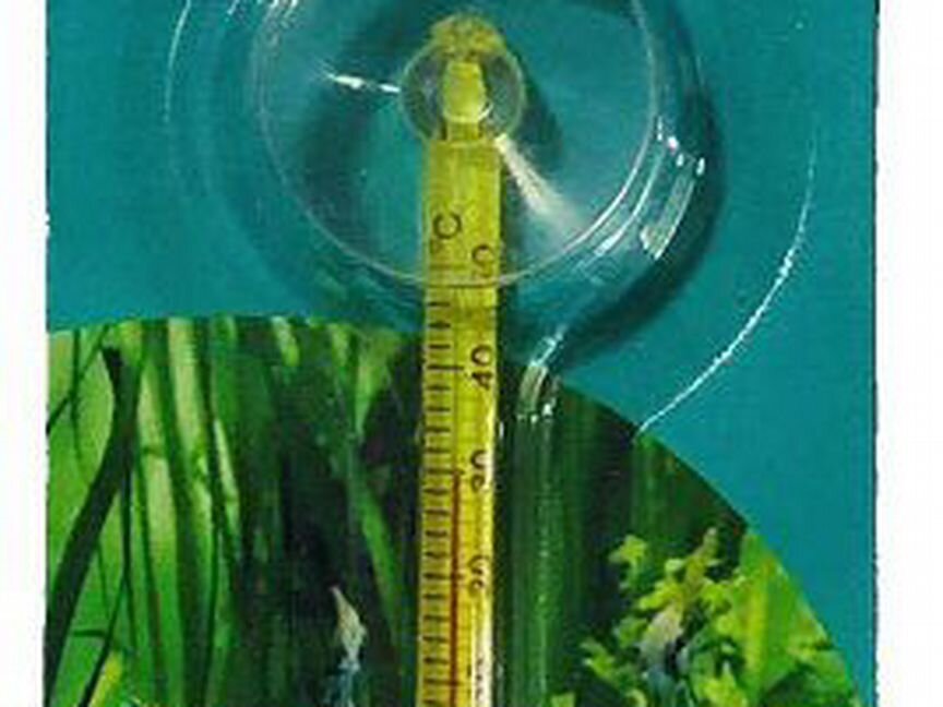 Термометр Naribo стеклянный на присоске (12 см)